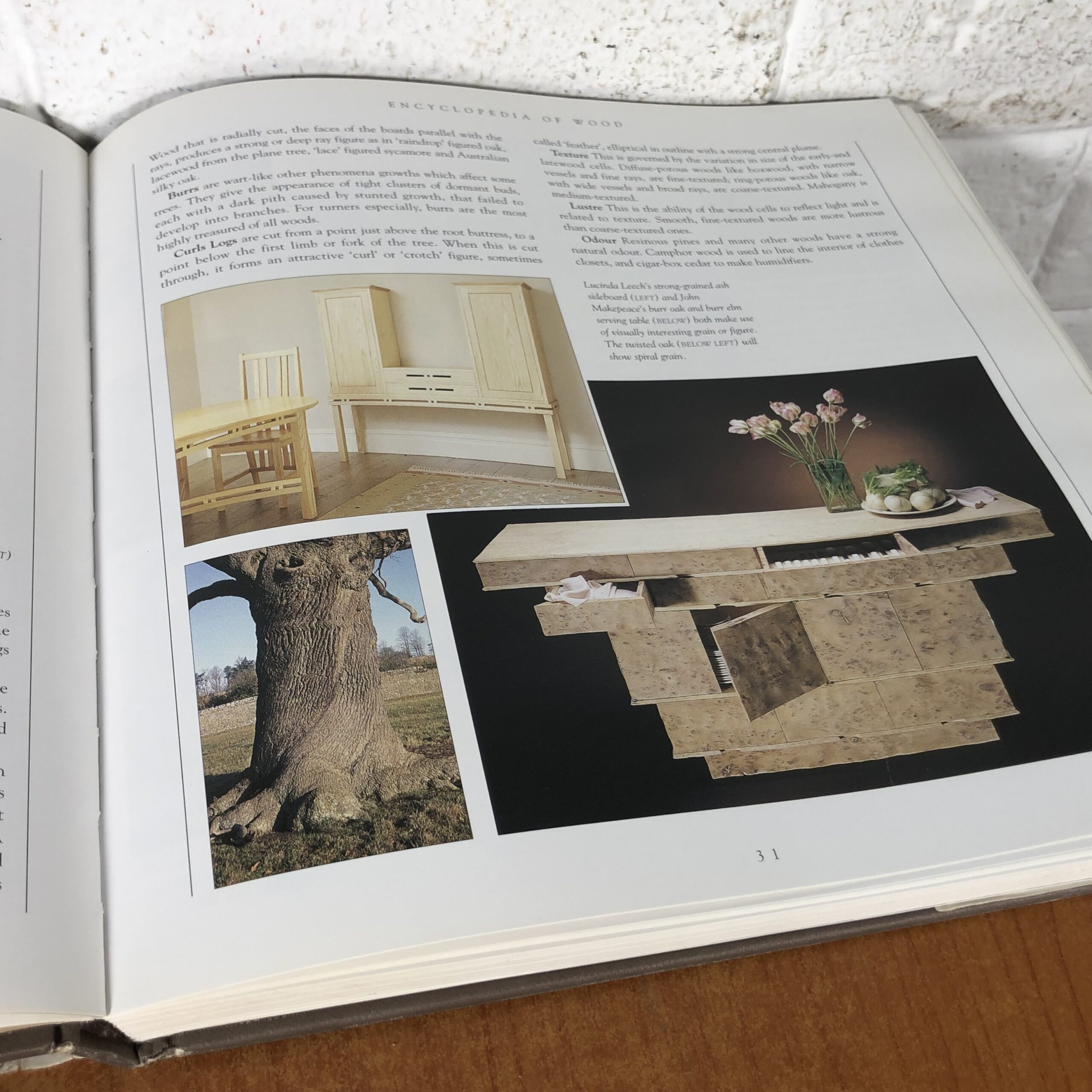 The International Book of Wood & The Encyclopedia of Wood Books ...